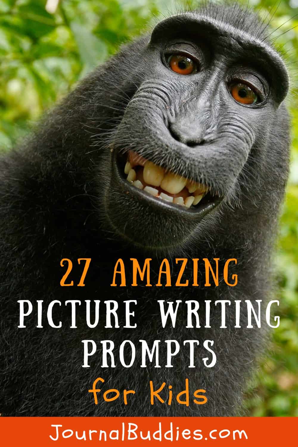 27 Amazing Picture Writing Prompts for Kids » JournalBuddies.com
