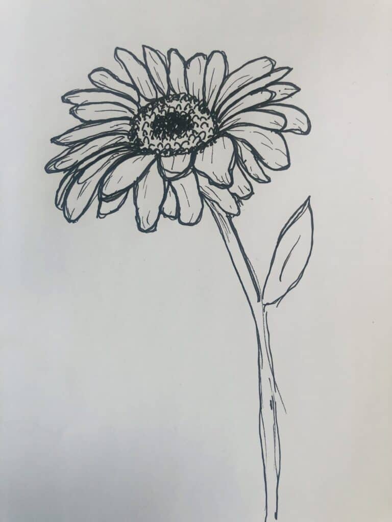 15 Inspiring Drawing Journal Ideas » JournalBuddies.com