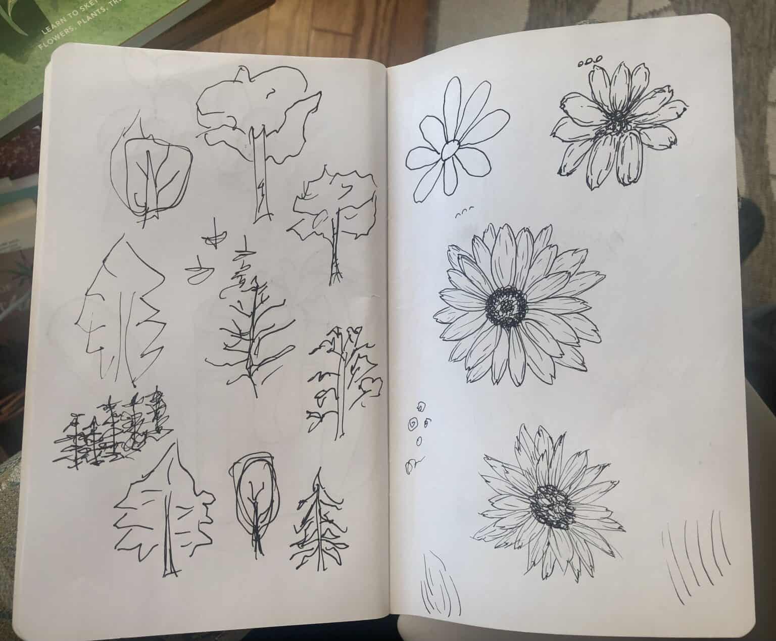 15 Inspiring Drawing Journal Ideas » JournalBuddies.com