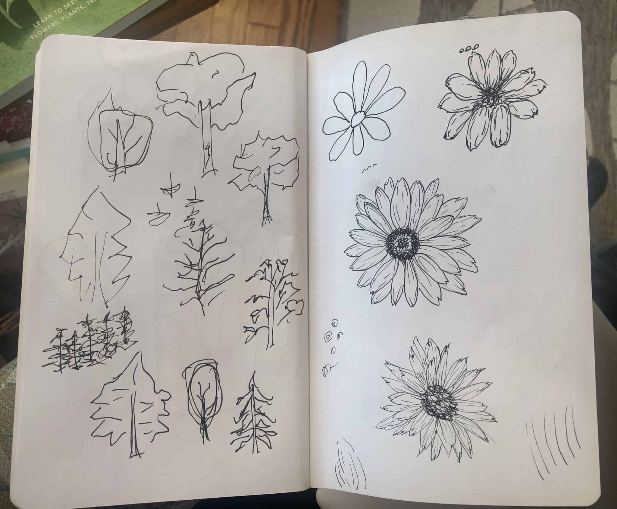 15 Inspiring Drawing Journal Ideas » JournalBuddies.com