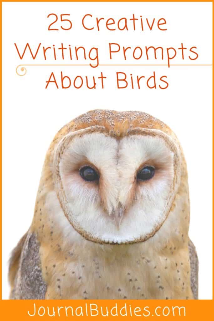 25 Creative Writing Prompts About Birds » JournalBuddies.com