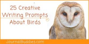 Paw-sitively Inspirational 44 Unique Ideas for Creative Writing About ...